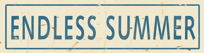 SOCA715 - 5 X 20 ENDLESS SUMMER CRM/ BLUE LTRS VINTAGE SIGN – Pasttime ...